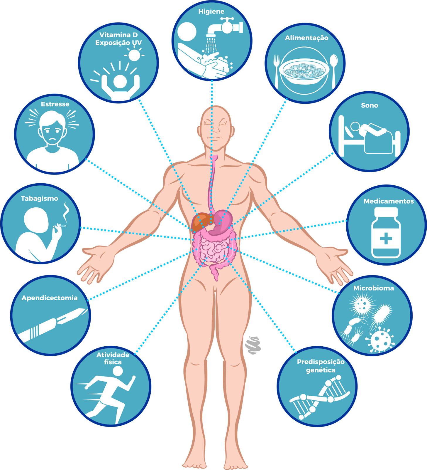 Doença de Crohn: o que é, sintomas, diagnóstico e tratamento